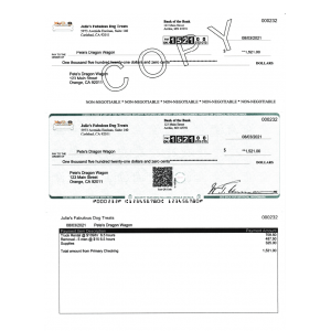 Order High Security Business Checks Online | Shop Checkrun & Save