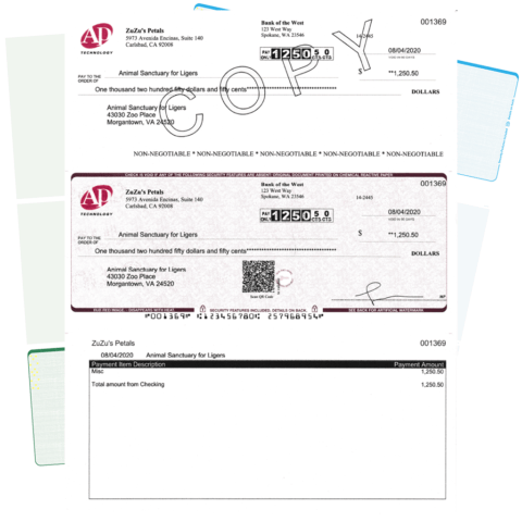 Order Blank Check Stock | Order Business Checks | Checkrun